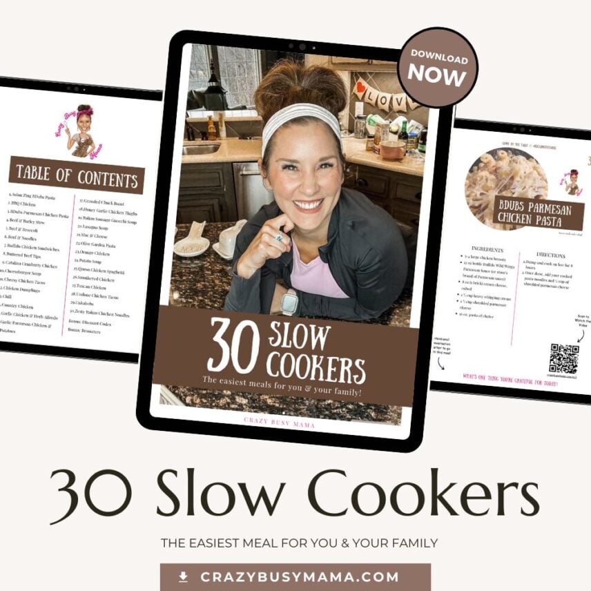 Crazy Busy Mamas Recipes - Crazy Busy Mama