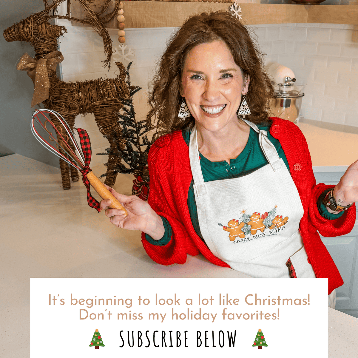 Crazy Busy Mamas Recipes - Crazy Busy Mama