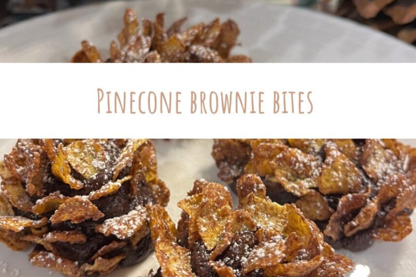 Thanksgiving Recipes - Crazy Busy Mama