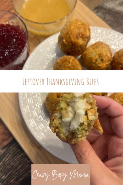 Bite Sized Balls: A Thanksgiving Leftover Recipe - Crazy Busy Mama