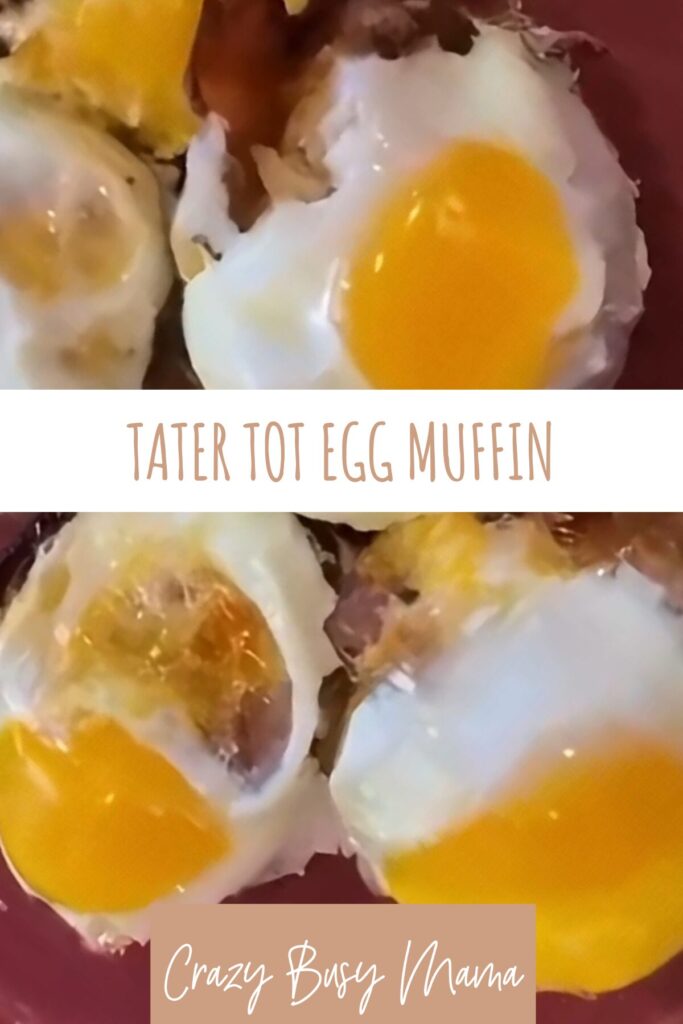 Tater Tot Egg Muffins Recipe (VIDEO) - Crazy Busy Mama