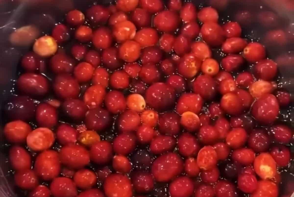 Thanksgiving Recipes - Crazy Busy Mama